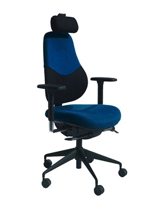 Orangebox Chairs, like Active Ergonomics Flo, ARA and Joy Chairs