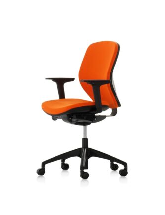 Orangebox Chairs, like Active Ergonomics Flo, ARA and Joy Chairs